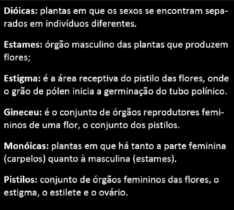 Como as plantas se reproduzem? – Folha Biológica